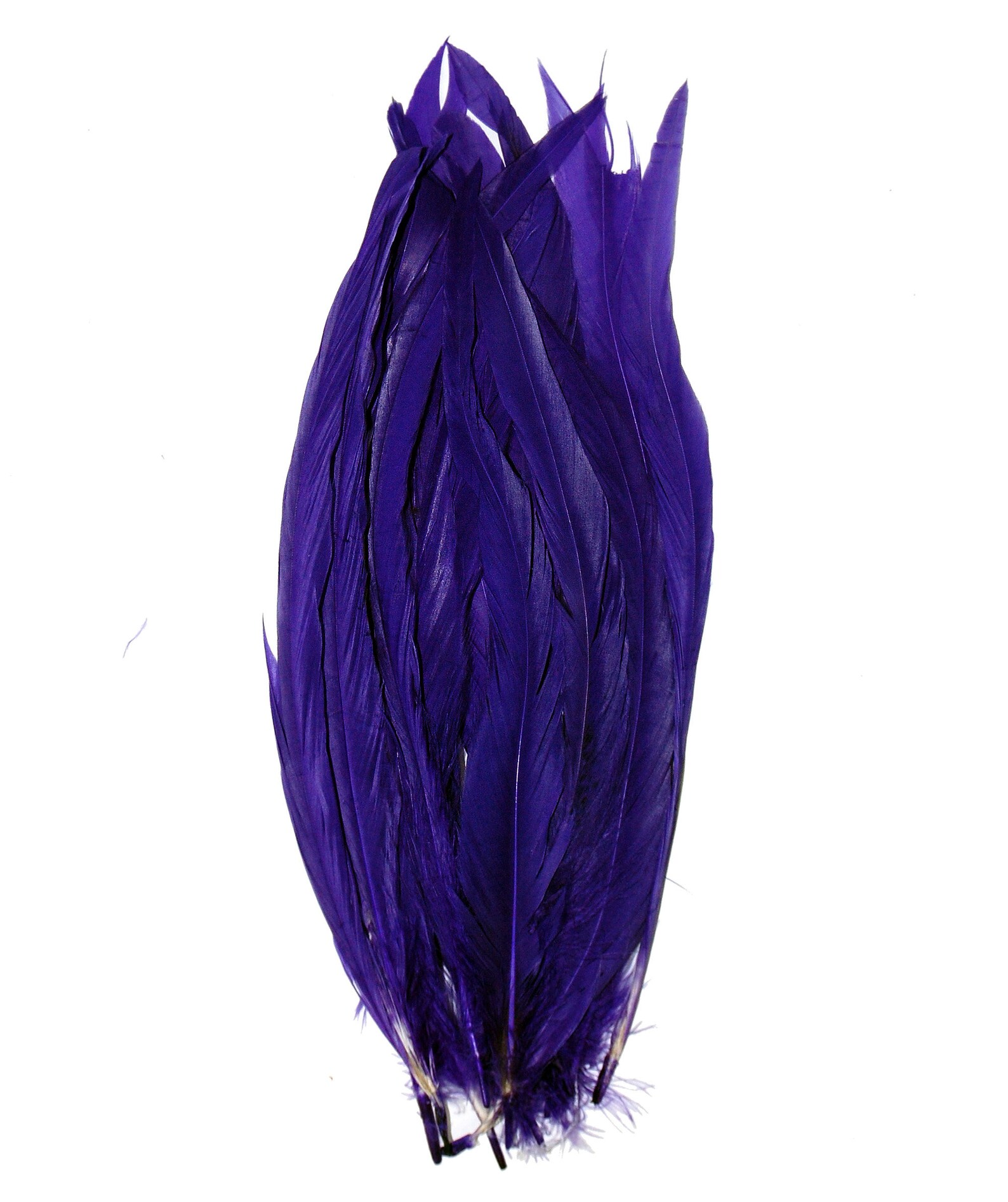 Beautiful ROOSTER COQUE FRINGE 6-10" Feathers Many Colors (trim/costume ...