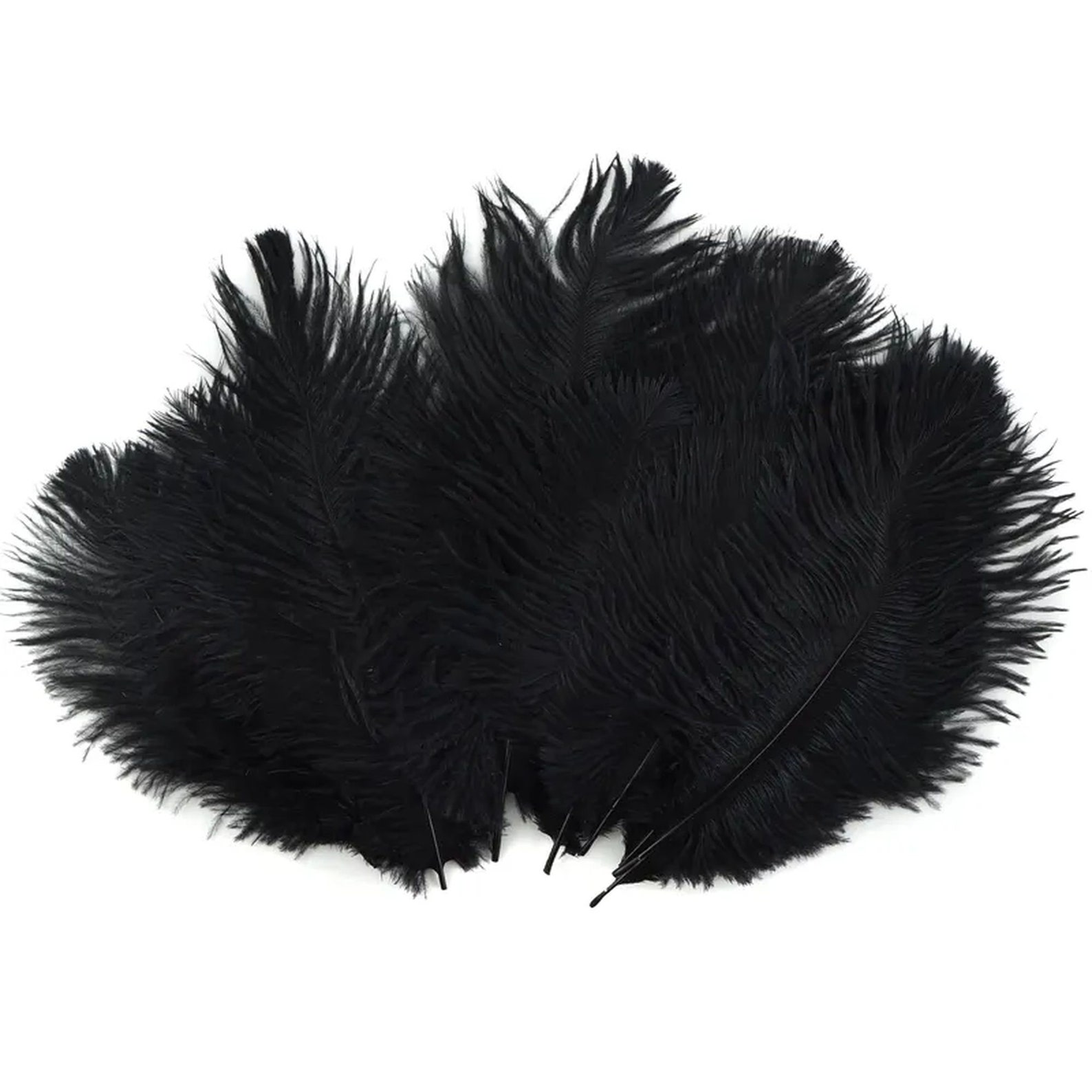 OSTRICH DRABS 8-16" Feather Plumes Over 25+ Colors to Choose From Top ...
