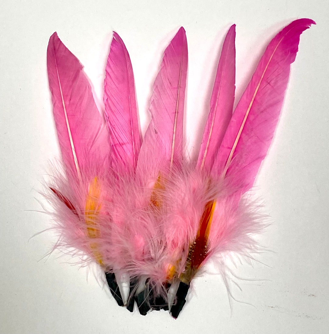 PINK Dyed DUCK Quills 6-8" With Marabou & Guinea Plumage for DIY Craft ...