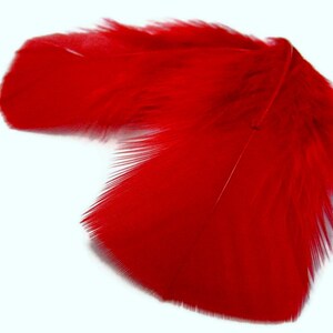30 Pcs Turkey Plumage 1"-4" Feathers - RED for School Craft Hats ...