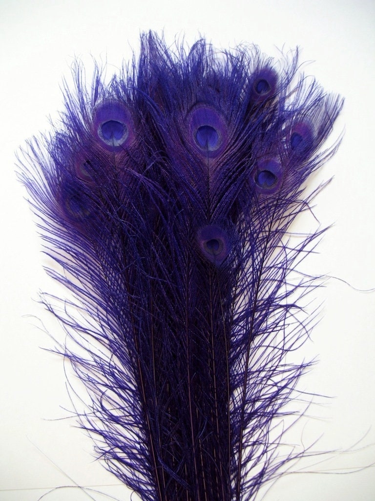 BLEACHED PEACOCK Tail Feathers 35-40" in Many Colors for Halloween ...