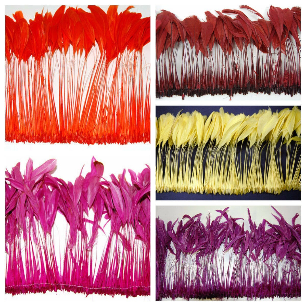 Stripped BURNT COQUE Feathers - Many Colors (6"-10" in Height) for ...