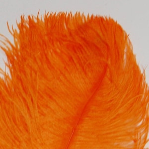 ORANGE Ostrich Feather Plumes 18-23" for Halloween Costume Table ...
