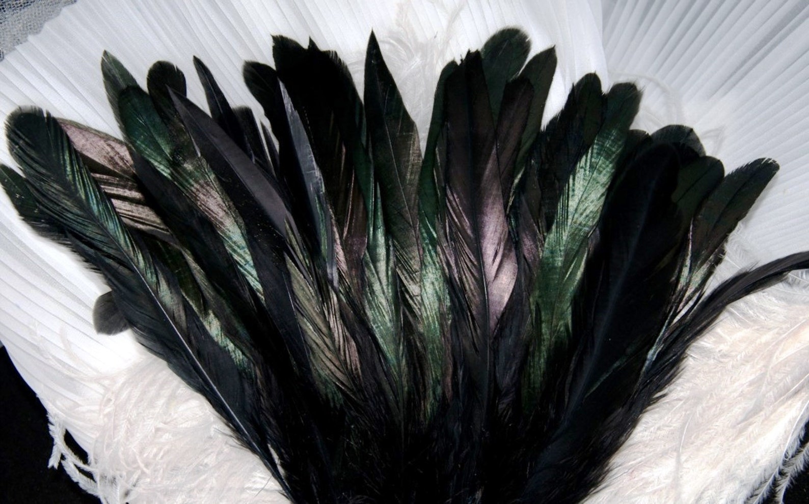 BLACK COQUE Rooster Tail Feathers: 8-11 Length per 1 | Etsy