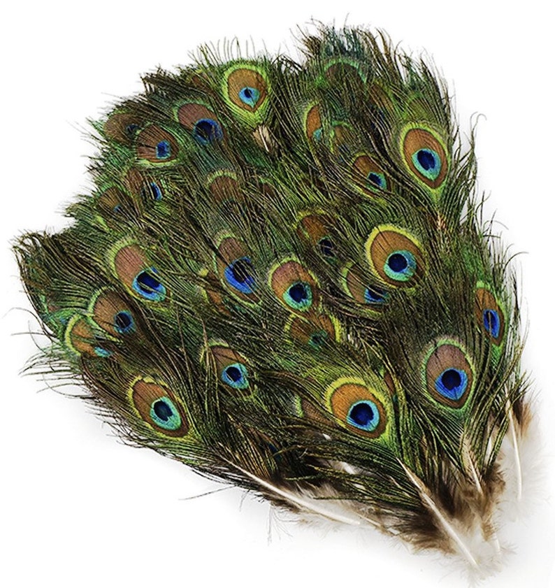 25 Pcs MINI PEACOCK 29 NATURAL Feathers - Etsy