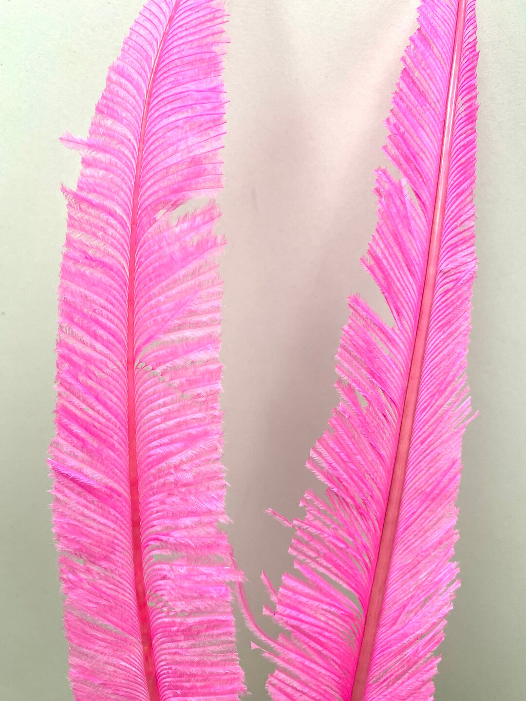 SHOCKING PINK Nandu Ostrich Feather Plumes 20-30" Narrow Trimmed for ...