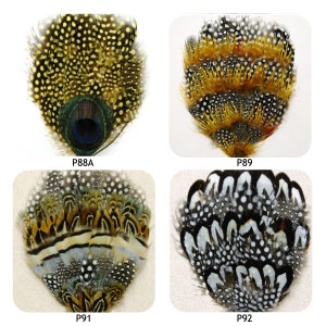 PHEASANT Feather PADS in Many Various Styles/colors for Hats Millinery ...