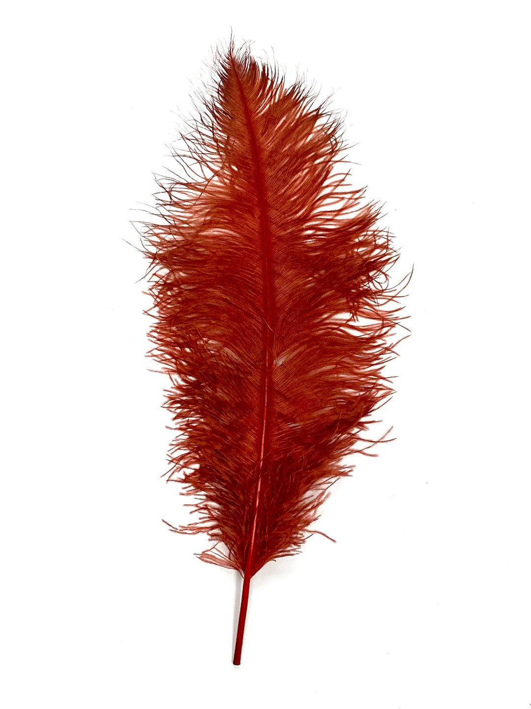 RUST Ostrich Feather Plumes 18-23" for Centerpieces Halloween Costume ...