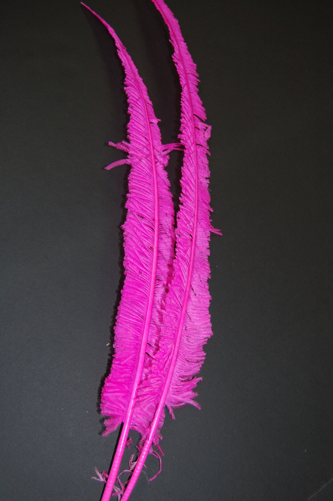 2 Pcs HOT PINK Nandu Ostrich Feather Plumes 20-30 Narrow Trimmed for ...