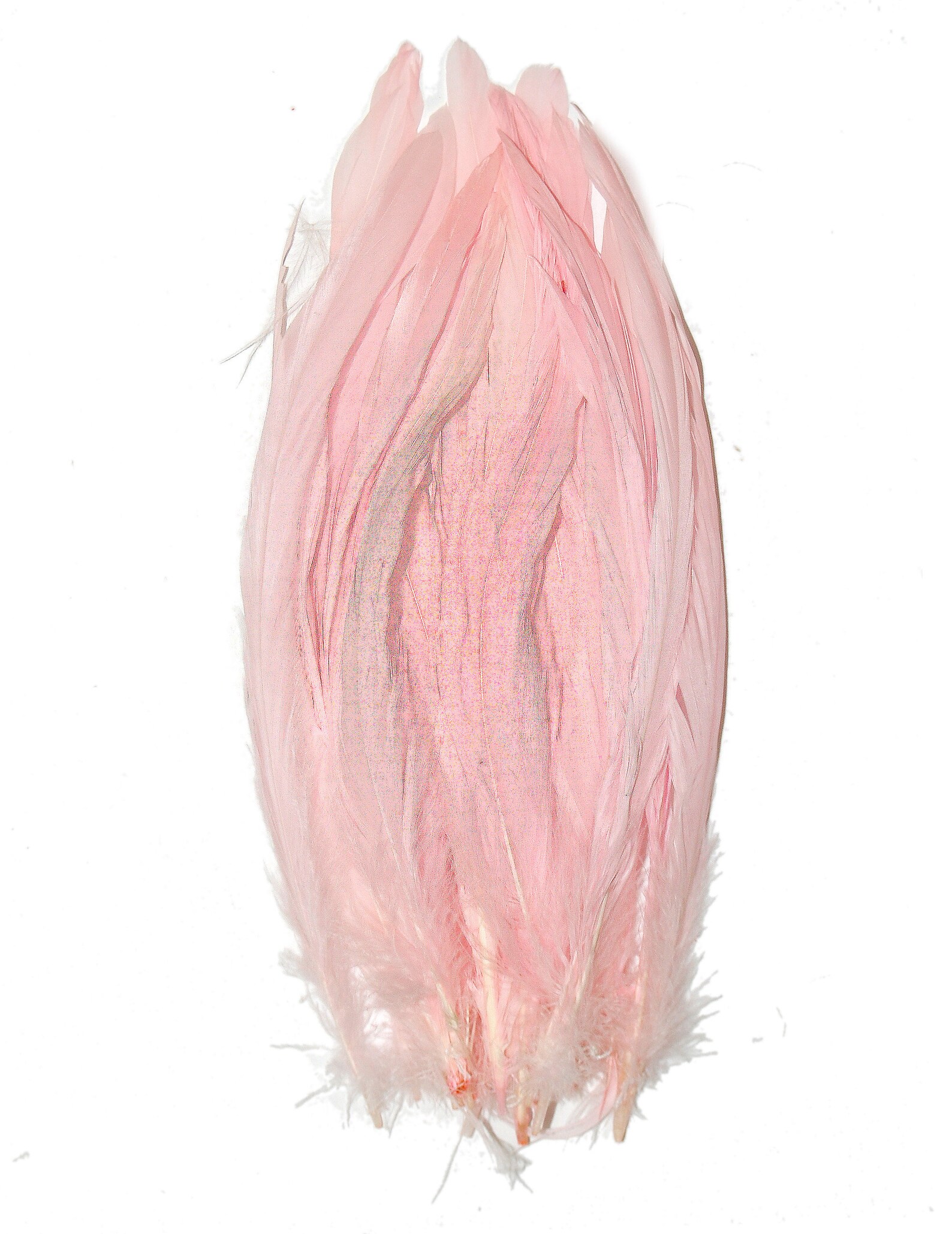 Beautiful ROOSTER COQUE FRINGE 6-10" Feathers Many Colors (trim/costume ...