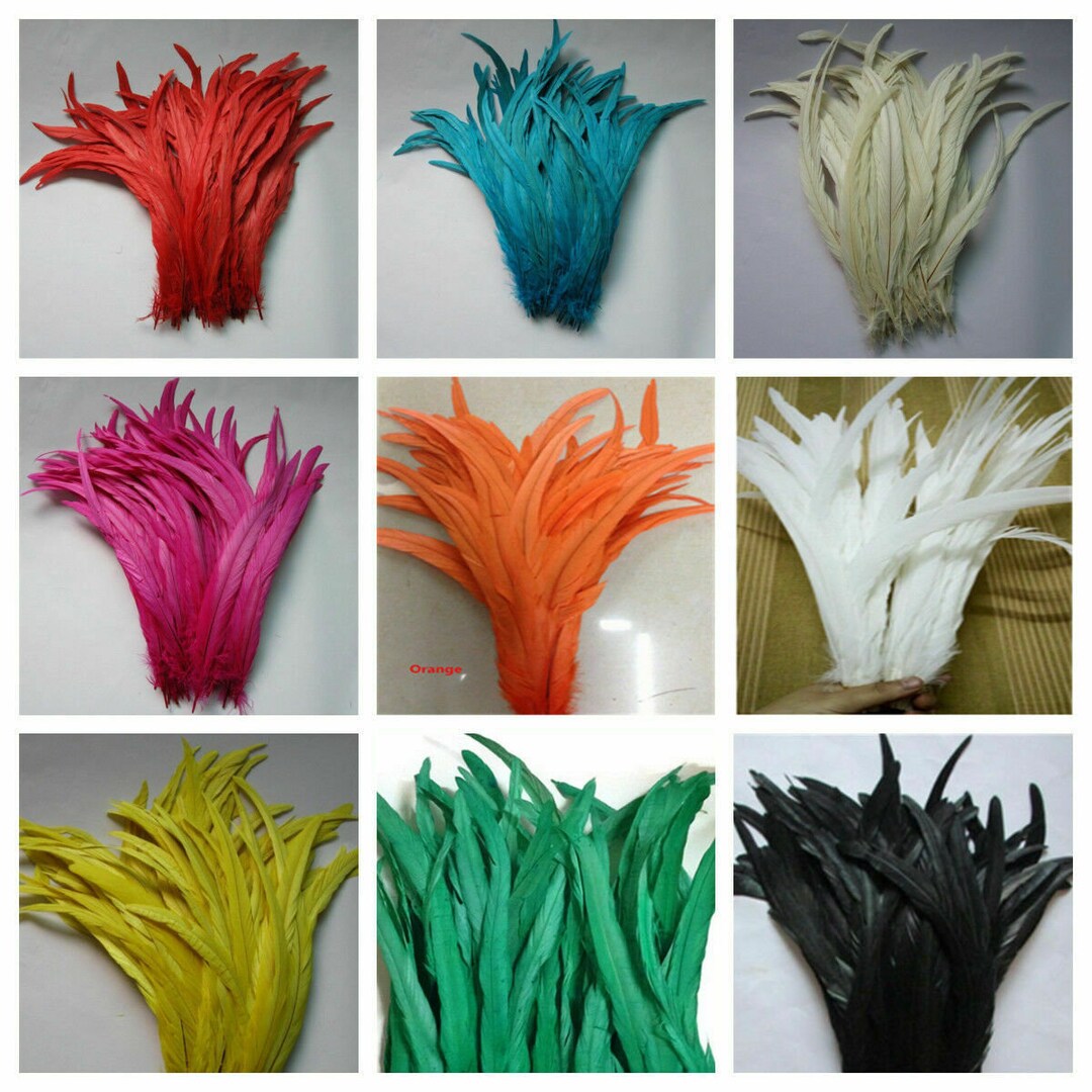 Beautiful ROOSTER COQUE FRINGE 6-10" Feathers Many Colors (trim/costume ...