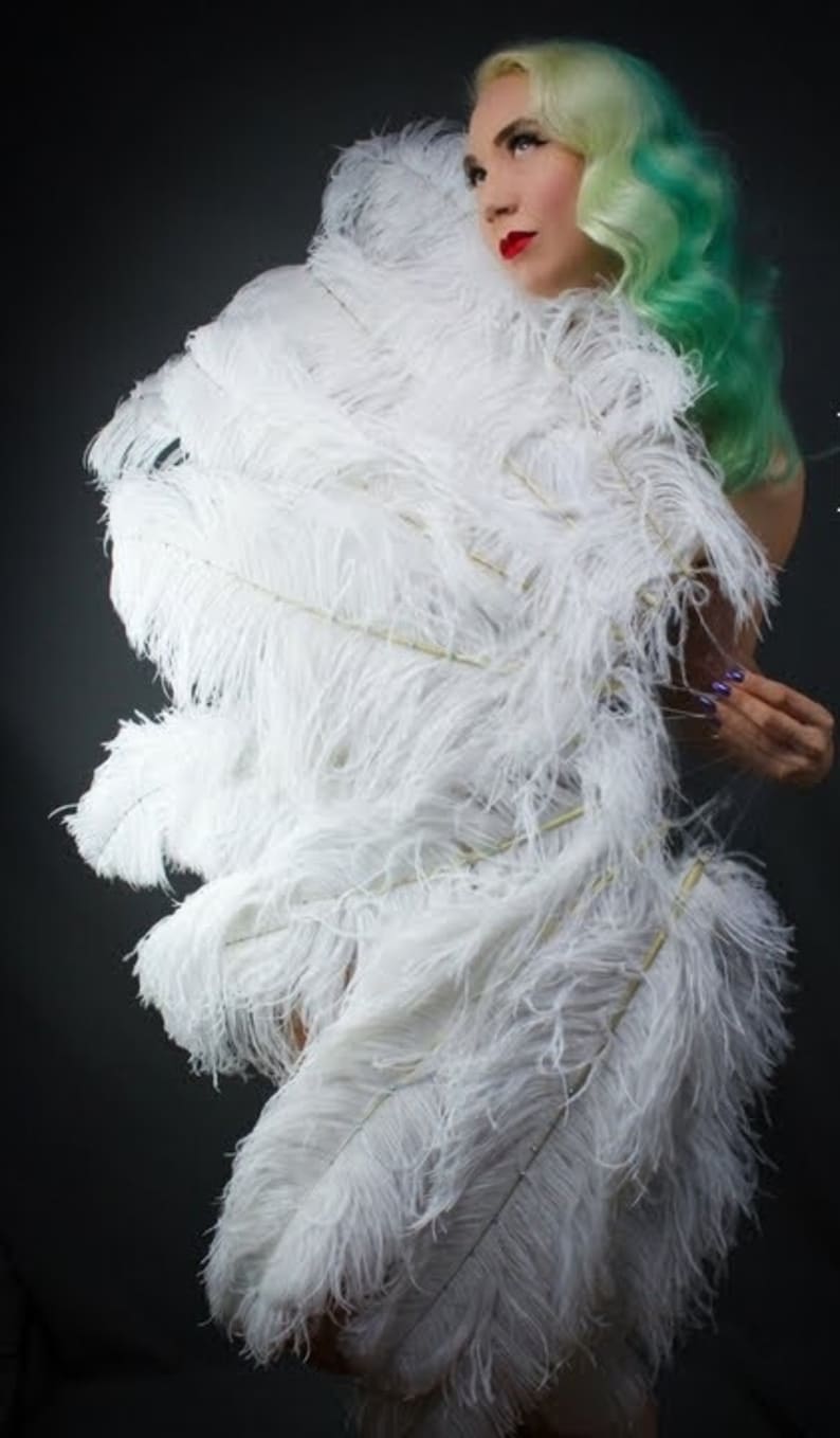 2 Large OSTRICH Feather Fans in WHITE 50