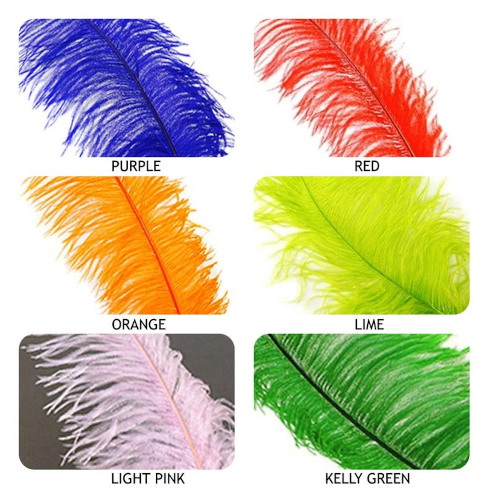 OSTRICH Feather PLUMES 18-23 Over 50 Colors to Choose | Etsy