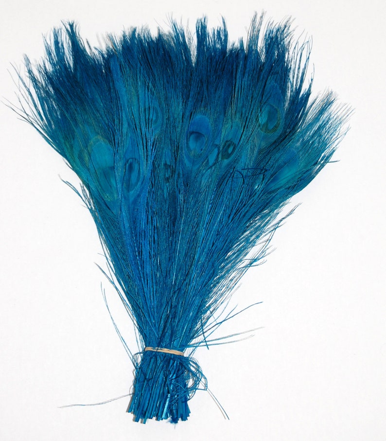 BLEACHED PEACOCK Tail Feathers 10-12 in Many Various - Etsy