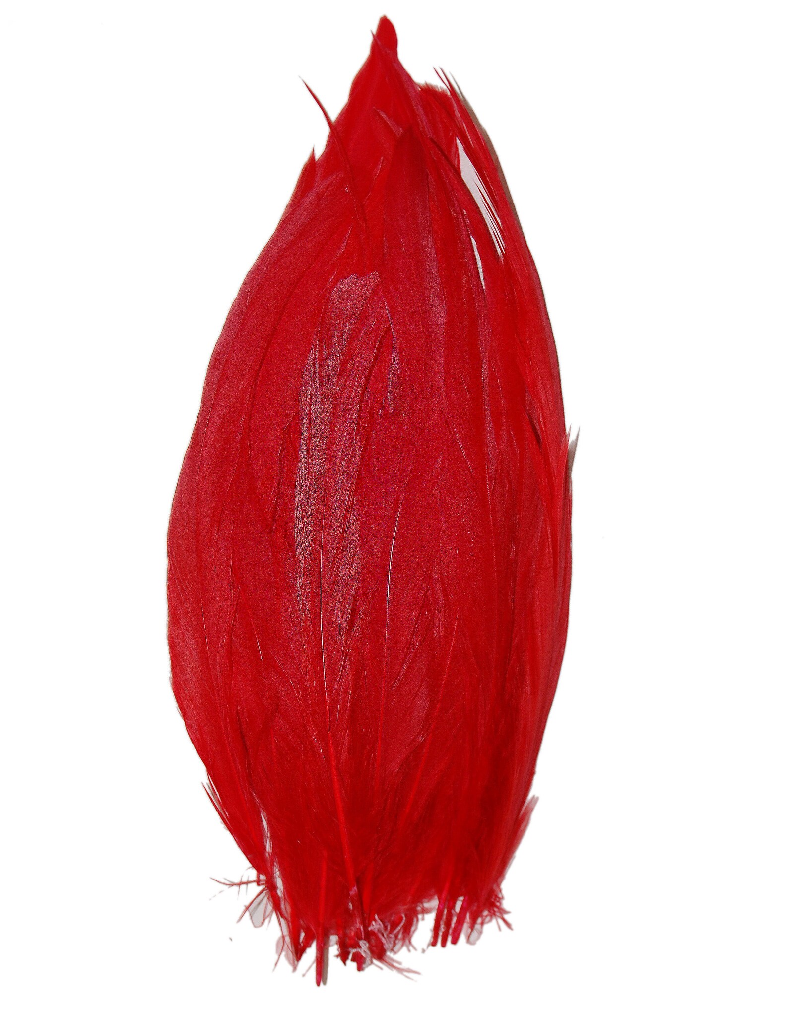 Beautiful ROOSTER COQUE FRINGE 6-10" Feathers Many Colors (trim/costume ...