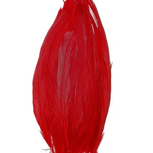 Beautiful ROOSTER COQUE FRINGE 6-10" Feathers Many Colors (trim/costume ...