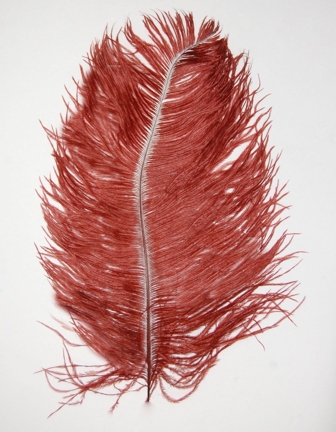 RUST Ostrich Feather Plumes 10"-18" for Centerpieces Craft Home Decor ...