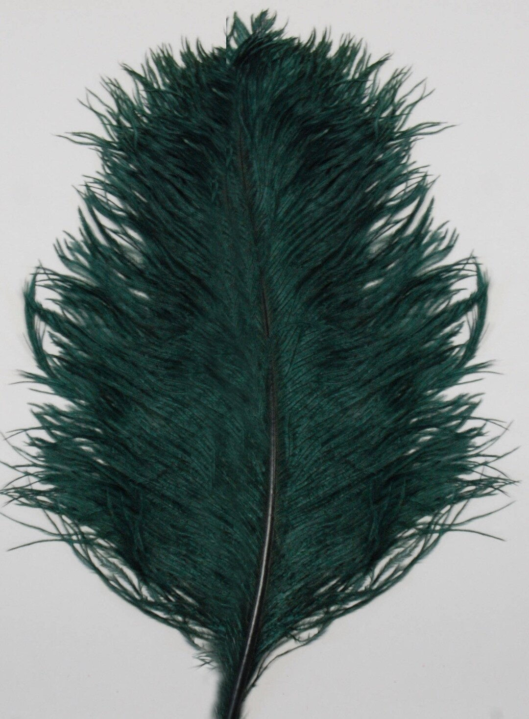 2 Pcs Ostrich Drabs 8-14 Plume Feathers HUNTER GREEN - Etsy