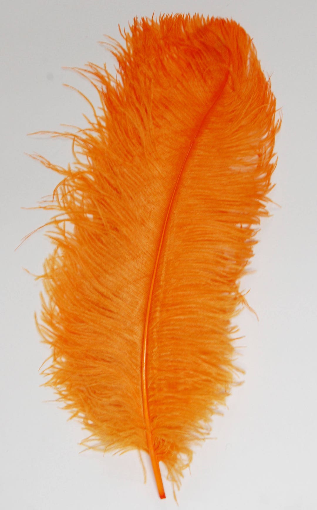 ORANGE Ostrich Feather Plumes 18-23" for Halloween Costume Table ...