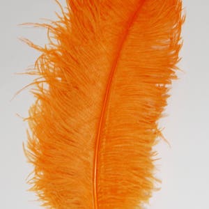 ORANGE Ostrich Feather Plumes 18-23" for Halloween Costume Table ...