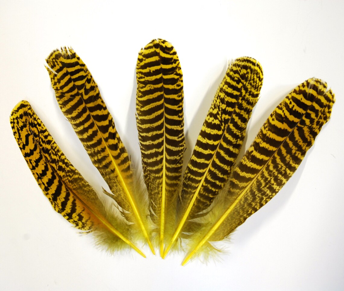 Colorful Dyed PEACOCK QUILLS 6-10" Many Colors for Craft Halloween DIY ...