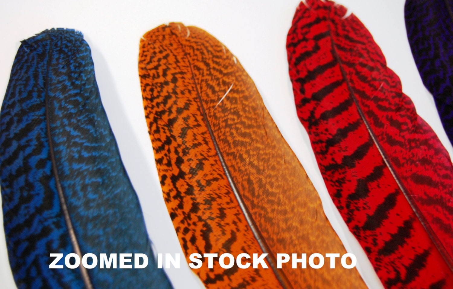 Colorful Dyed PEACOCK QUILLS 6-10 Many Colors for Craft | Etsy