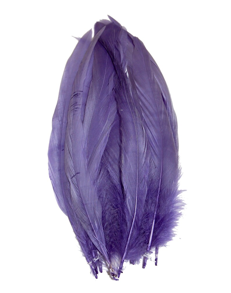 Beautiful ROOSTER COQUE FRINGE 6-10" Feathers Many Colors (trim/costume ...