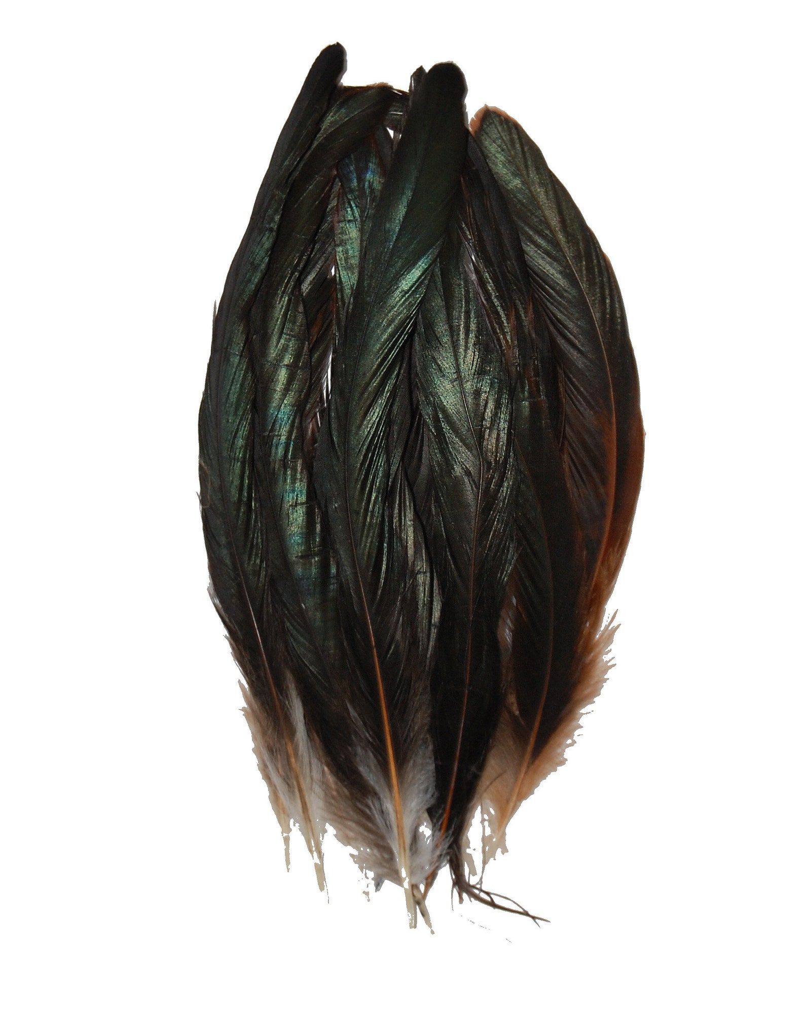 Beautiful ROOSTER COQUE FRINGE 6-10" Feathers Many Colors (trim/costume ...