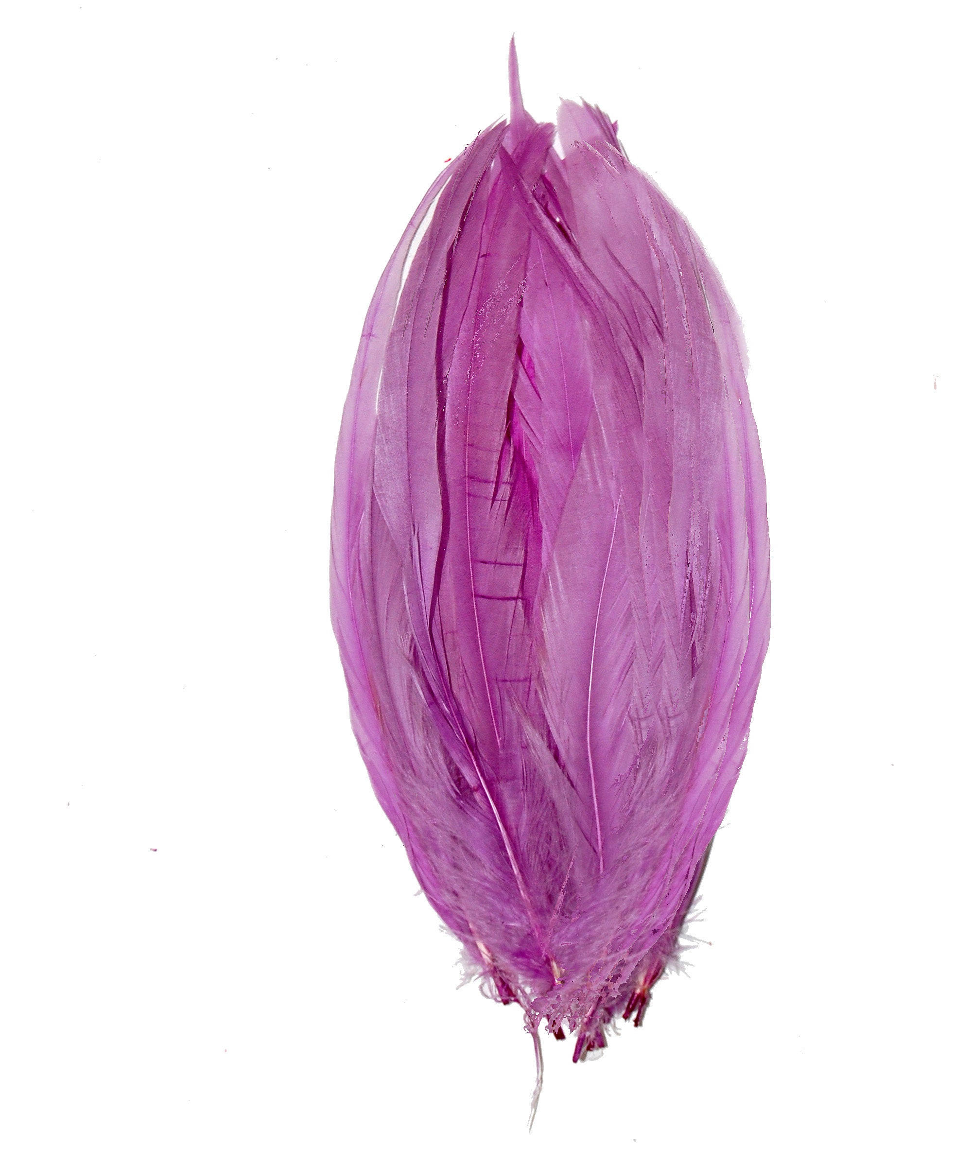 Beautiful ROOSTER COQUE FRINGE 6-10" Feathers Many Colors (trim/costume ...