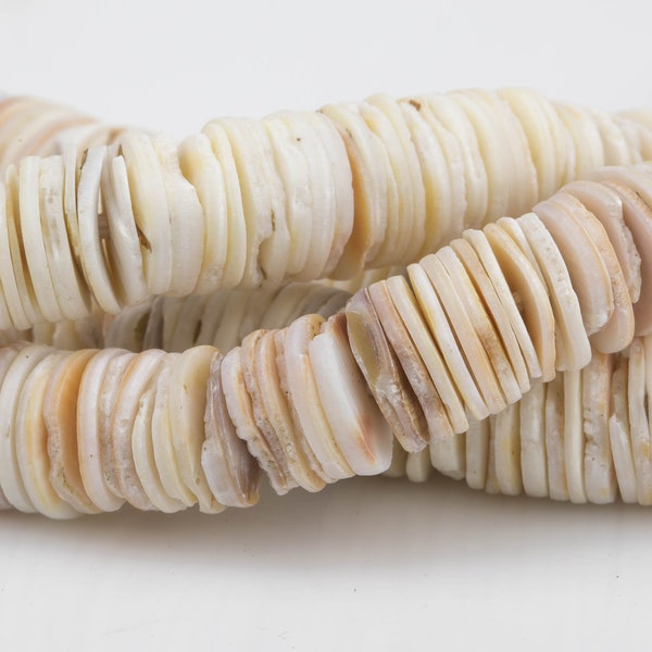 Ostrich Egg Shells - Etsy