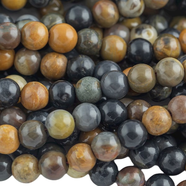 Petrified Wood - Etsy