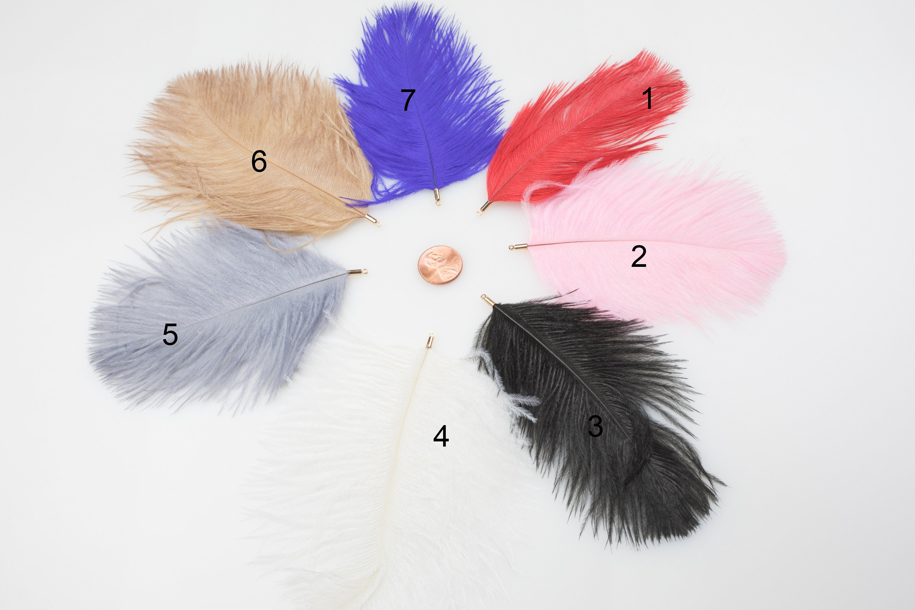 Beautiful Ostrich Tail Feather Gold Cap- Average Size 4 to 6 Inches ...