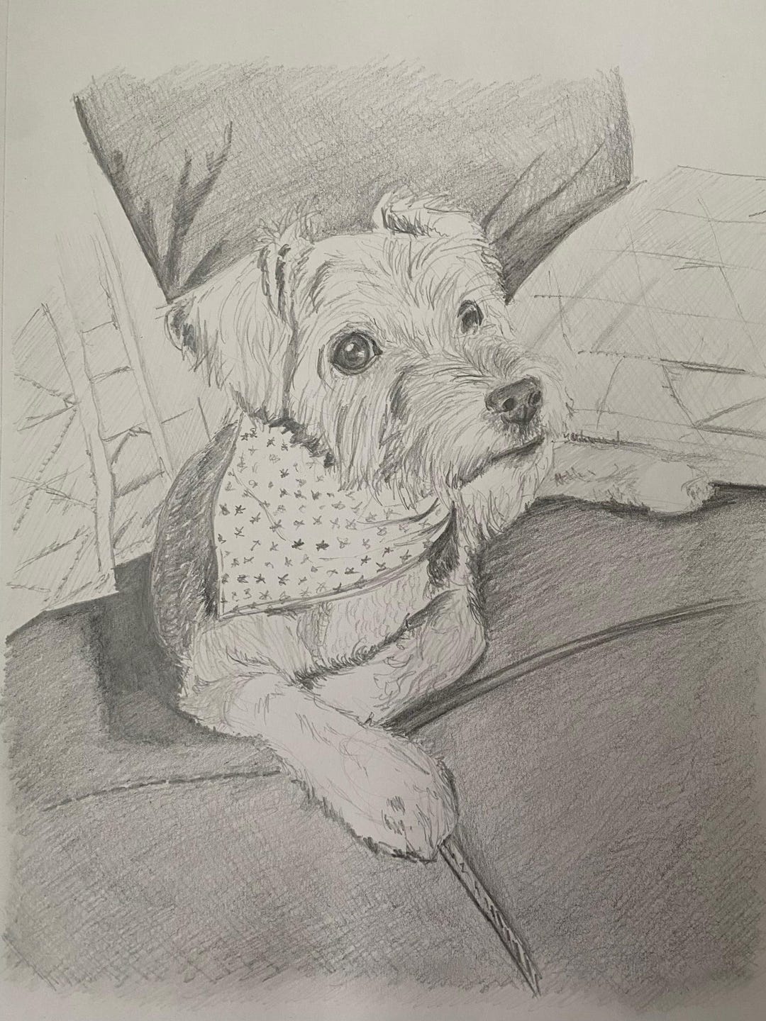 A4 Pencil Drawing - Etsy UK