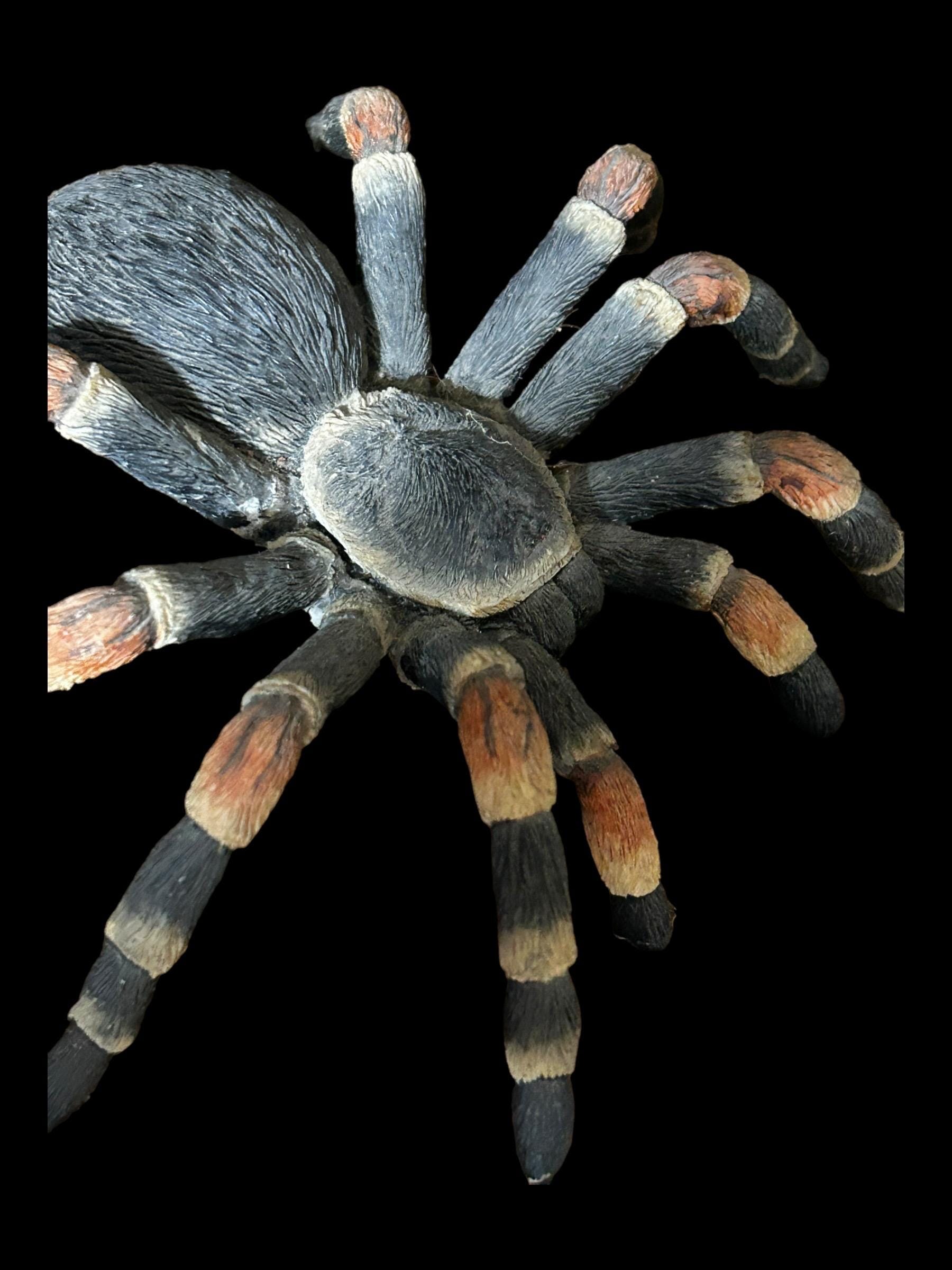 Vintage Mexican Red Knee Tarantula Statue - Etsy