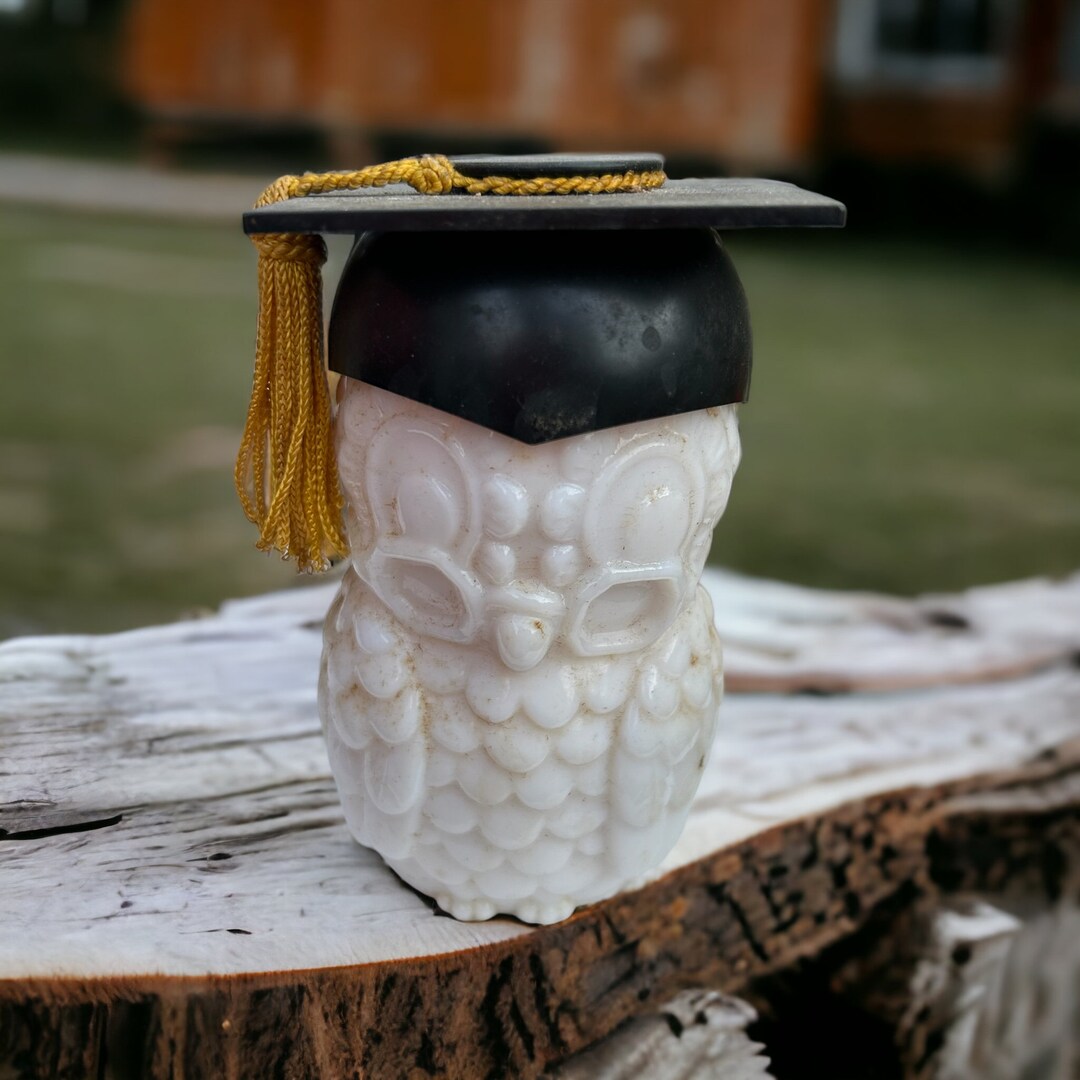 Vintage Avon DR HOOT Graduation Owl Wild Country Cologne 4 Oz Bottle - Etsy