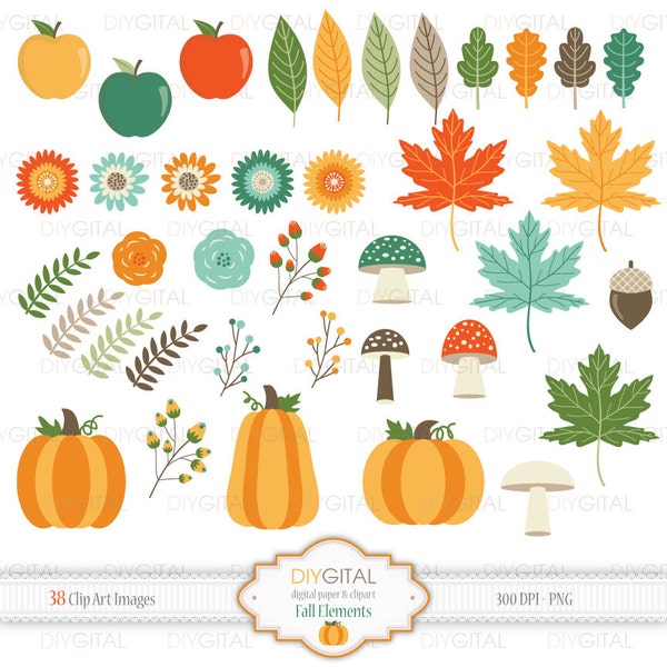 Acorn Clip Art - Etsy