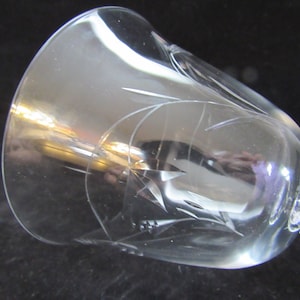 Symphony by Bryce, Etched Crystal Water Glasses, Water Goblets, Etched ...