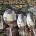 Silver Tulip Silverplate 1956, Silver Tulip by International Silver ...