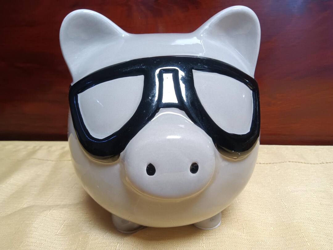 Nerd Piggy Bank: Gray Pig With Glasses - Far East Brokers - Etsy