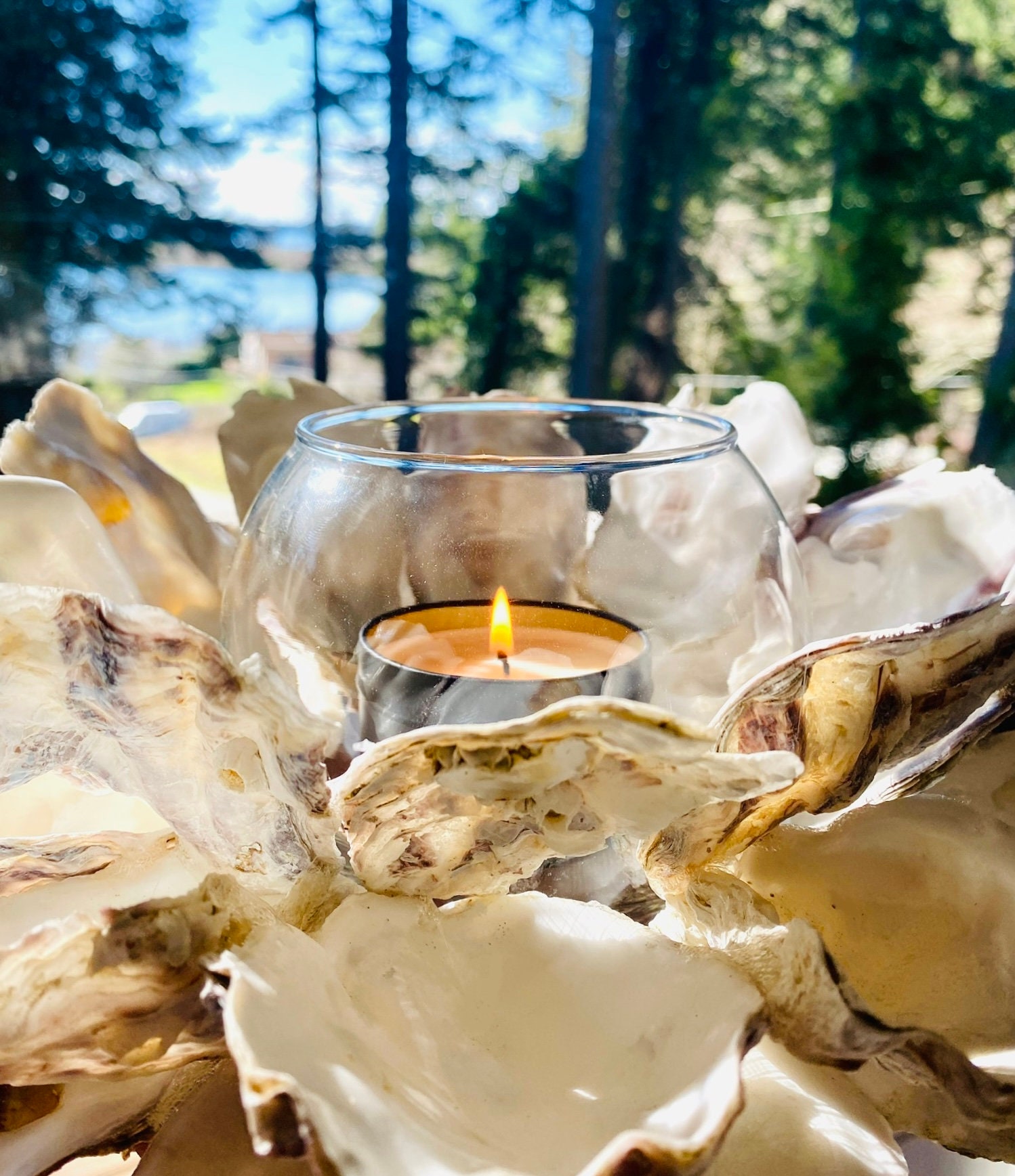 Oyster Shell Candle Holder, Oyster Shell Centerpiece, Beach Wedding ...