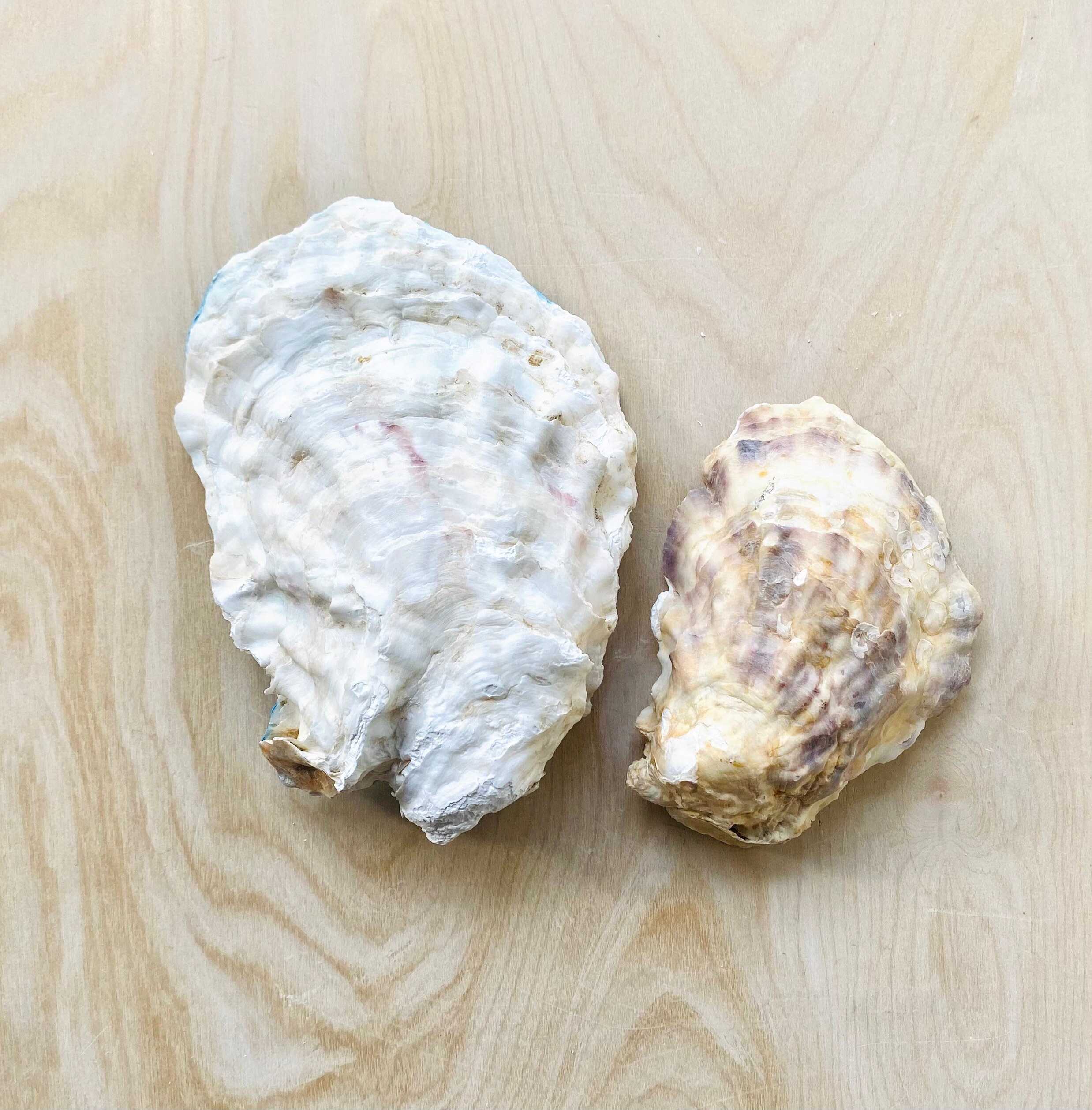 Mermaid Oyster Painting, Large Oyster Shell Painting, Mermaid Decor ...