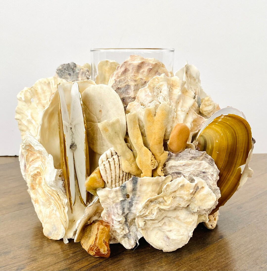 Oyster Shell Candle Holder Shell Centerpiece PNW Decor - Etsy