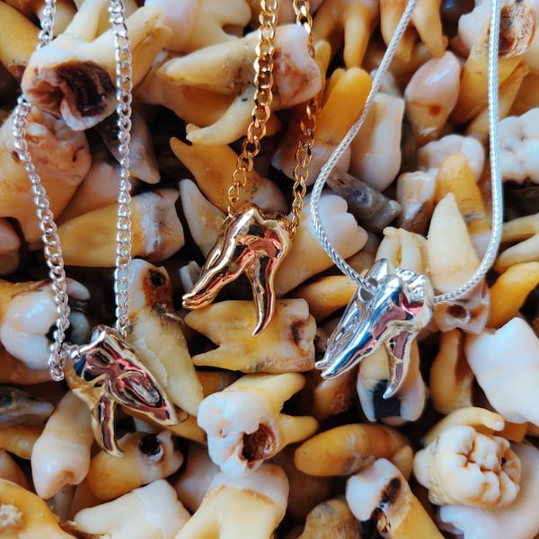 Human Tooth Necklace - Etsy