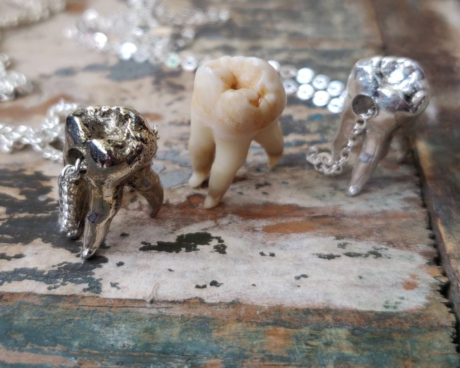 Human Tooth Necklace - Etsy