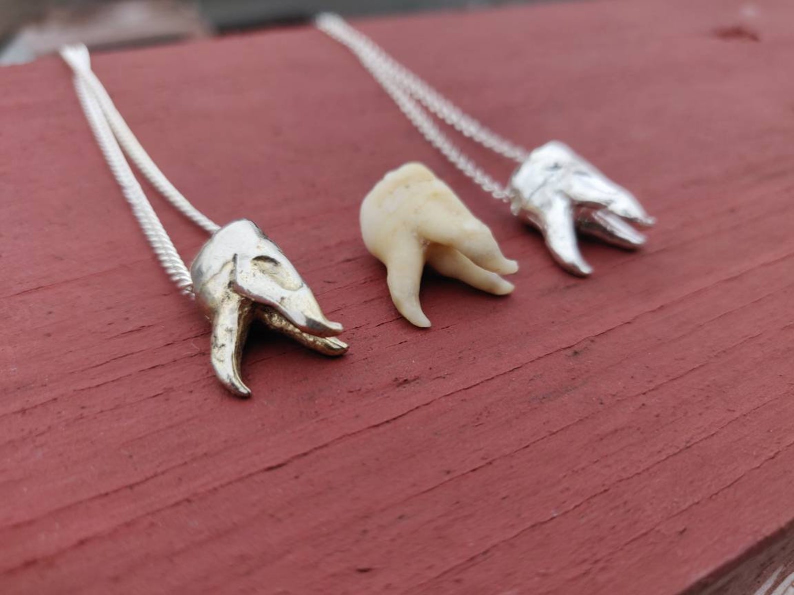 Human Tooth Necklace - Etsy