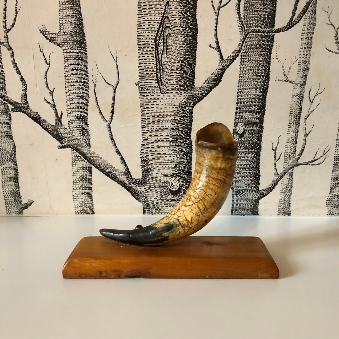 Vintage Ox Horn Vessel Trophy Object De Art on Wood Base - Etsy
