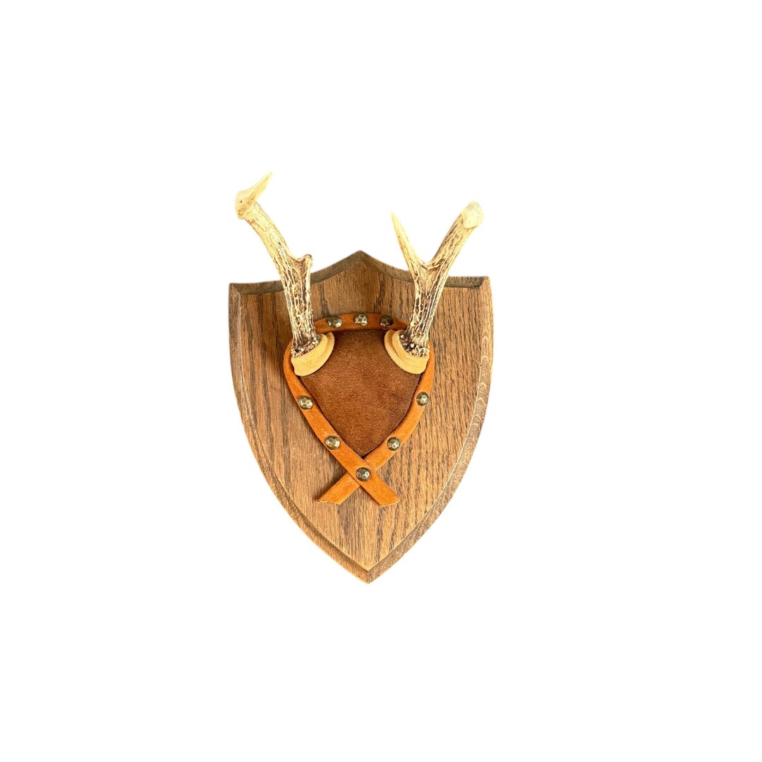 Vintage Stag Horns Antlers Mounted on Wood Leather 1970s - Etsy