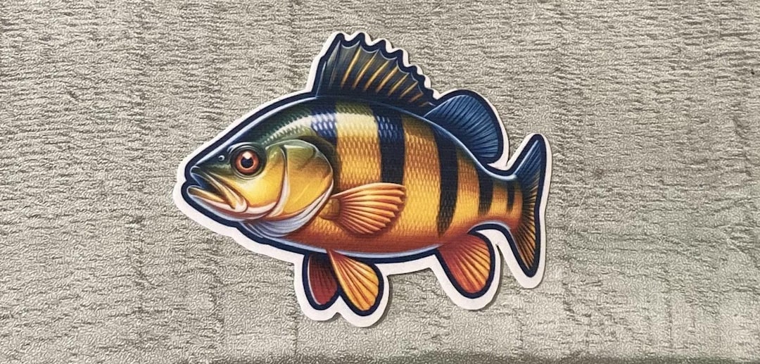 Yellow Perch Fish Sticker Perch Fish Sticker Fish of Iowa Sticker Perch ...