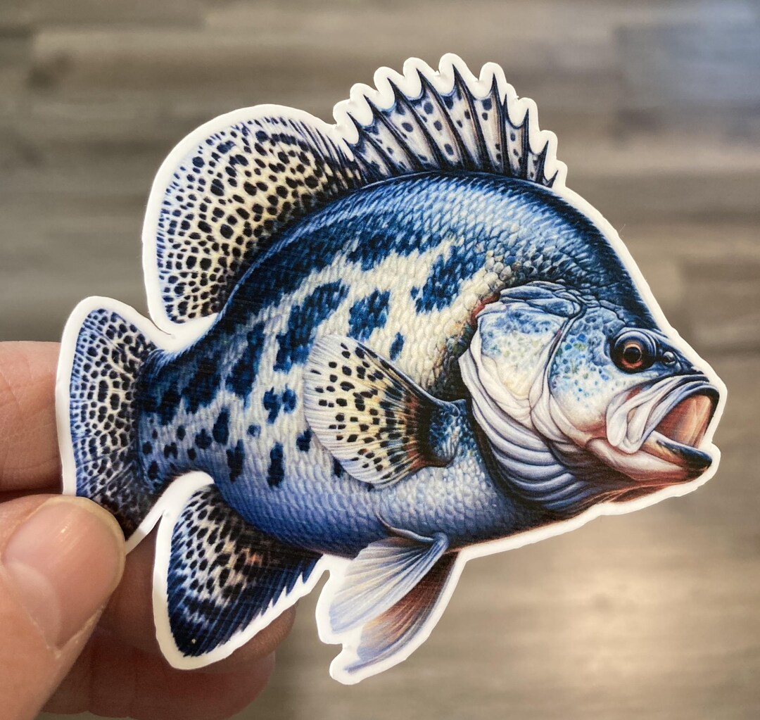 Crappie Fish Sticker Fish Sticker Crappie Fish Iowa Fish Sticker Fresh ...