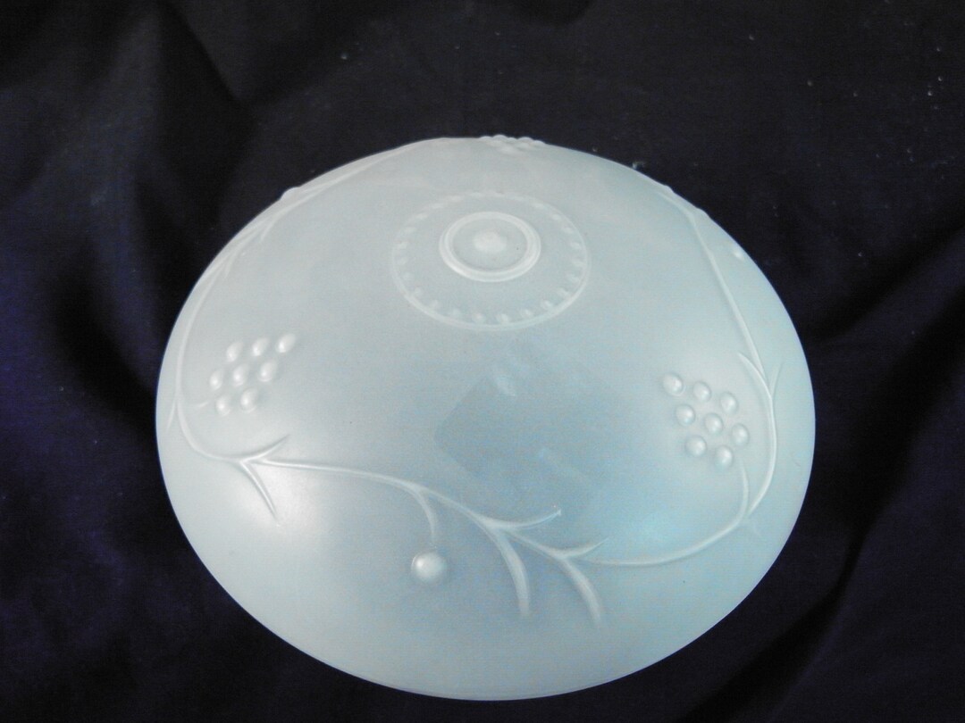 Vintage Frosted Glass Embossed Vine and Berry Glass Light Shade Bulb ...